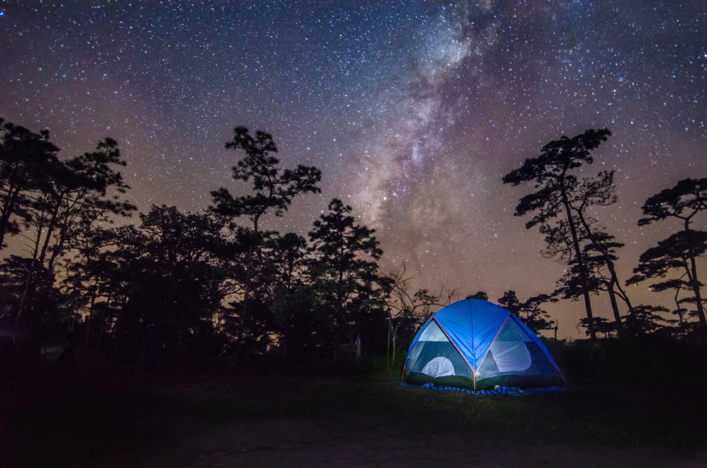 Camp under the stars | Wildlife Tours - Outback Venture Sdn Bhd